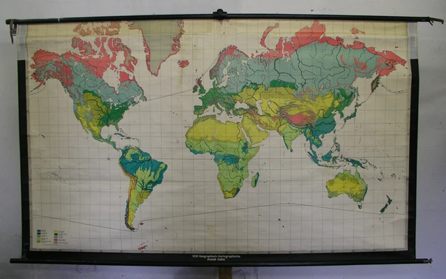 SCHOOL WALL MAP Beautiful Old World Map Vegetation 213x127cm Vintage ...