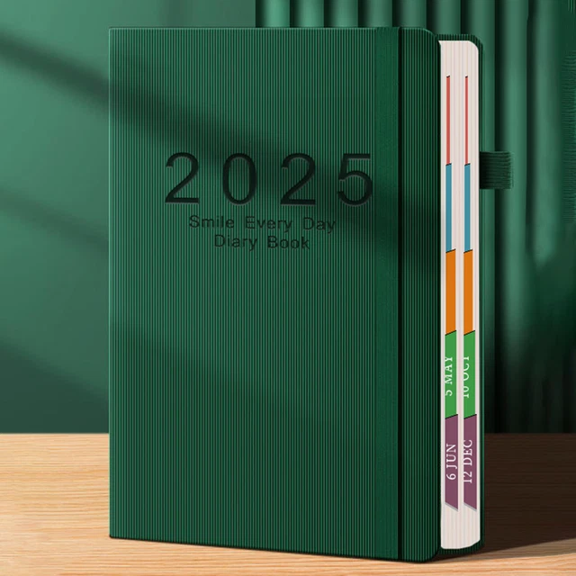 DAILY PLAN 2025 This 2025 Daily Plan Covers 365 Days of the Year 2025 ...