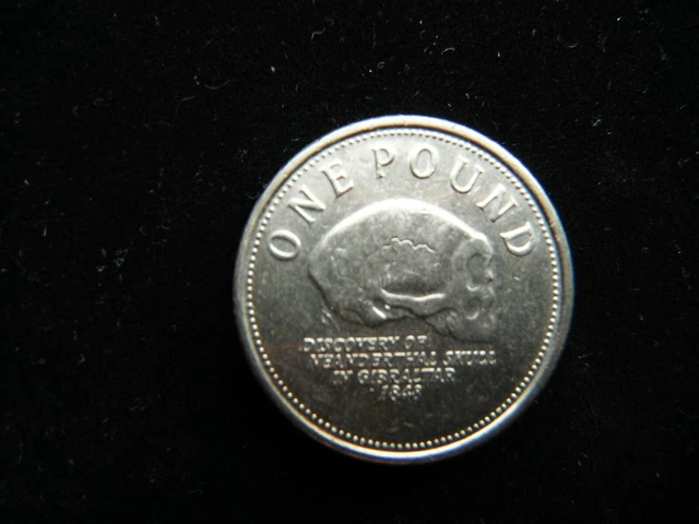 DISCOVERY OF NEANDERTHAL Skull In Gibraltar-One Pound Coin 2009 £29.99 ...