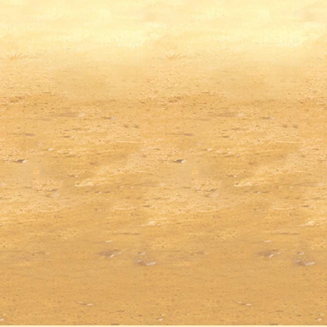 52036 DESERT SAND Backdrop, 4-Feet by 30-Feet, Photo Background $90.45 ...