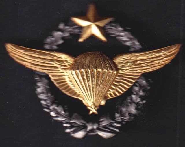 FRENCH AIR FORCE Fusiliers Commandos de l'Air badge Drago $23.49 - PicClick