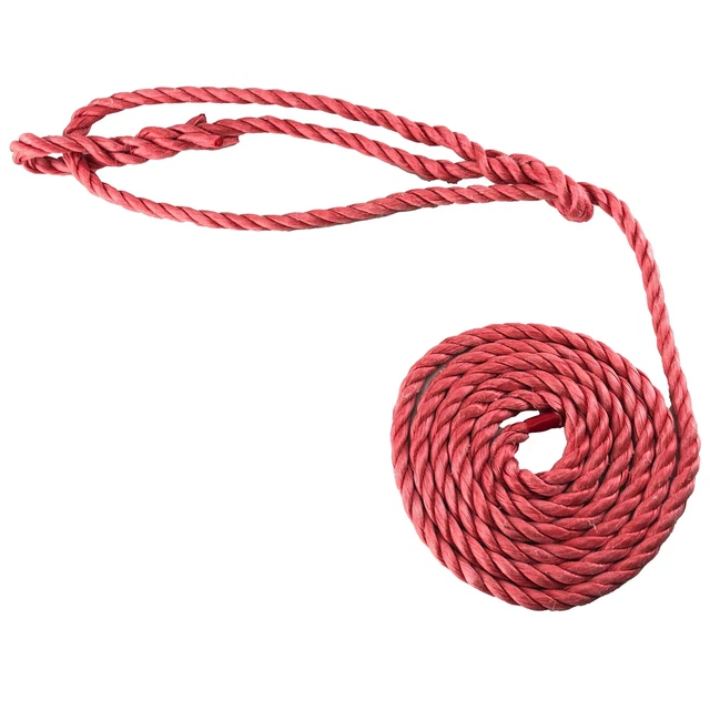 12MM RED POLYPROPYLENE Plain Show Rope Halter x 12ft, Cow Sheep Horse ...