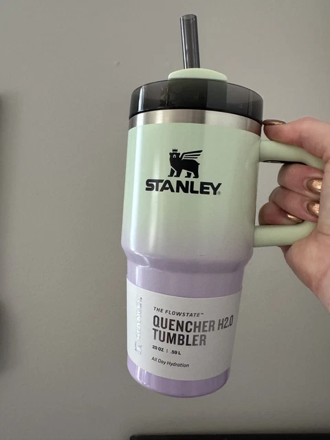 STANLEY X TARGET HYPNOTIC GREEN Halloween 2025 20 oz Quencher Tumbler ...