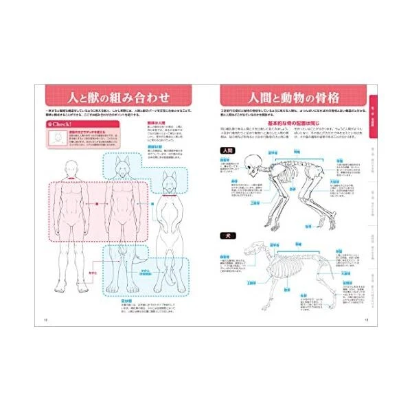 HOW TO DRAW Kemono Character Japan Furry Anime Manga Guide Art Book ...