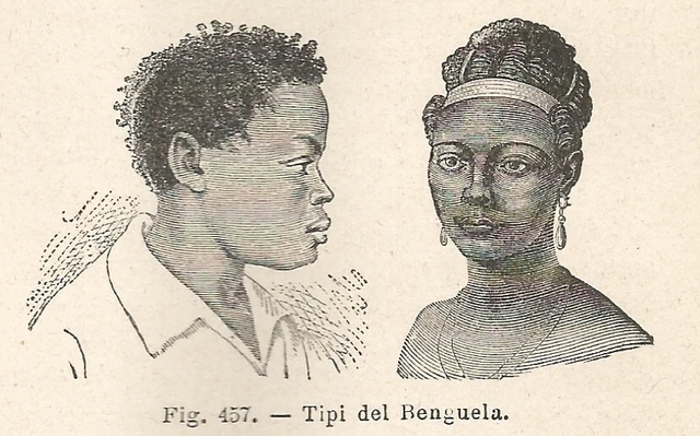 A2716 TYPES OF Benguela - Xylograph - Print Antique Of 1895 - Engraving ...