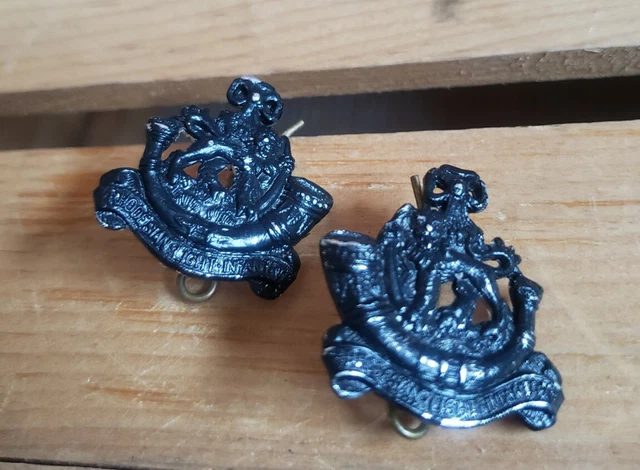 Rhodesian Light Infantry