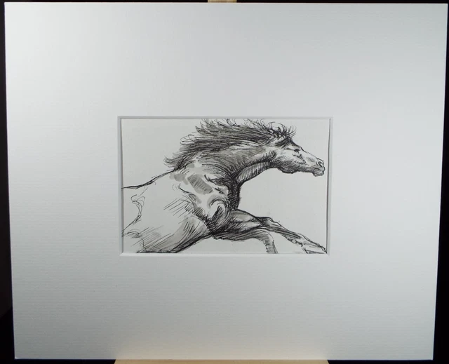 ORIGINAL PEN & Ink, 'Galloping Horse', Circa 1990's , John Williams £29 ...