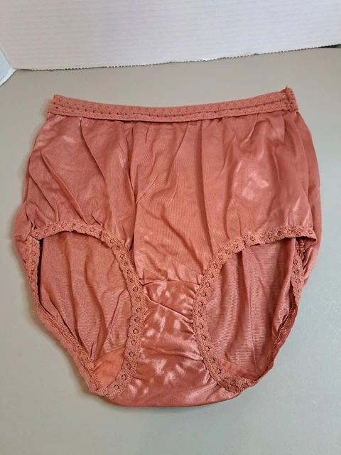 Vtg 70s 80s Maidenform Rust Granny Panties Sissy Brief Lace Nylon Nwot