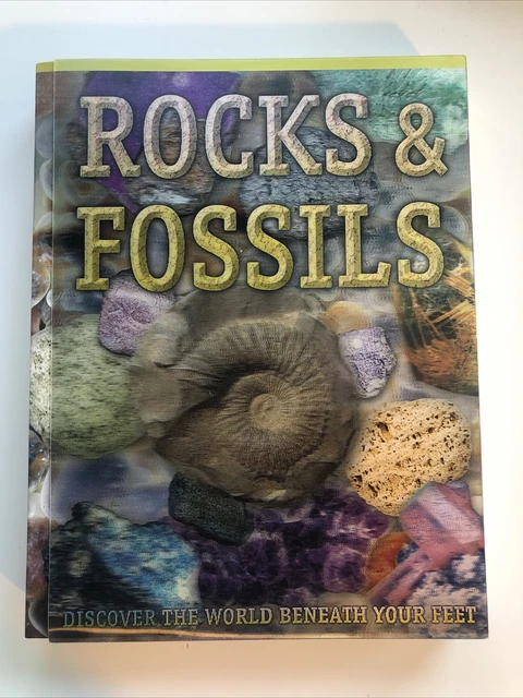ROCKS AND FOSSILS Discover The World Beneath Your Feet £11.87 - PicClick UK