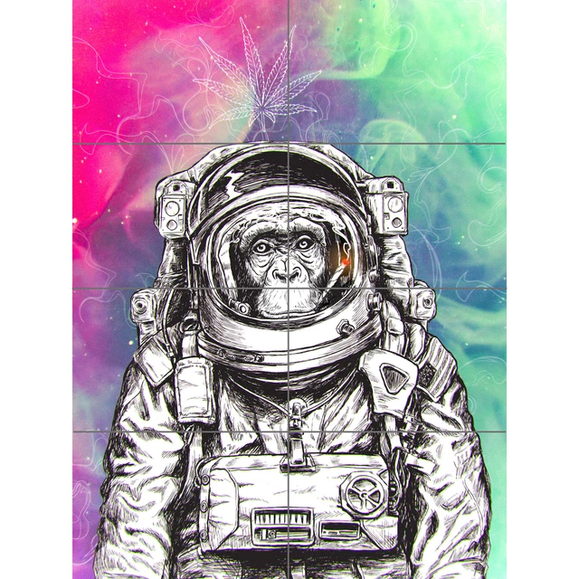 TRIPPY MONKEY APE Astronaut Illustration Weed Marijuana Art Print ...