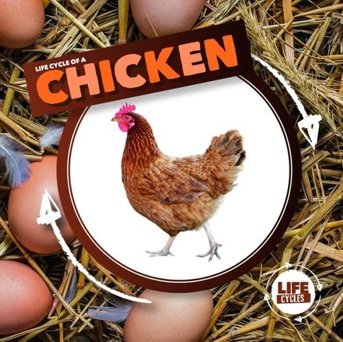 LIFE CYCLE OF A Chicken NEW English Holmes Kirsty BookLife Publishing ...