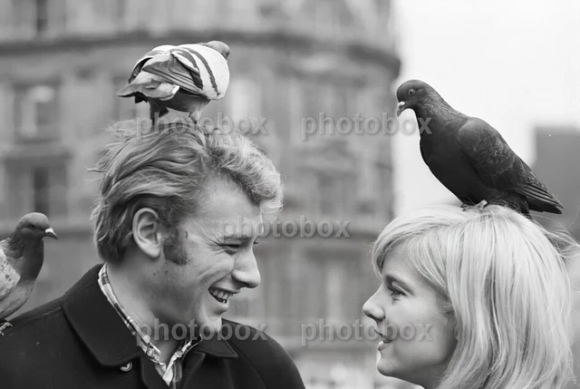 * JOHNNY HALLYDAY - Exclusive RARE PHOTO N 712 * Sylvie Vartan EUR 9,99 - PicClick FR