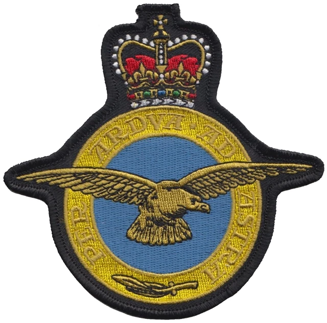 INSIGNES ROYAL AIR Force RAF EUR 6,00 - PicClick FR