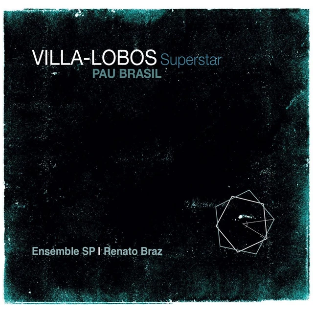 PAU BRASIL & Ensemble SP Villa-Lobos Superstar (CD) Album EUR 21,28 - PicClick FR