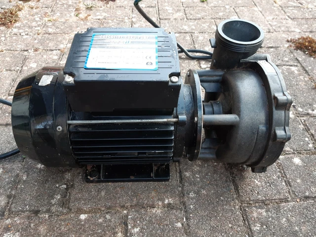 EXECUTIVE EURO PUMP Waterway insulated Wet End Pump 2 speed 3.5 HP PF ...