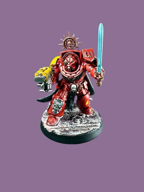 PRO PAINTED WARHAMMER 40K Blood Angels Primaris Terminator Captain £49. ...