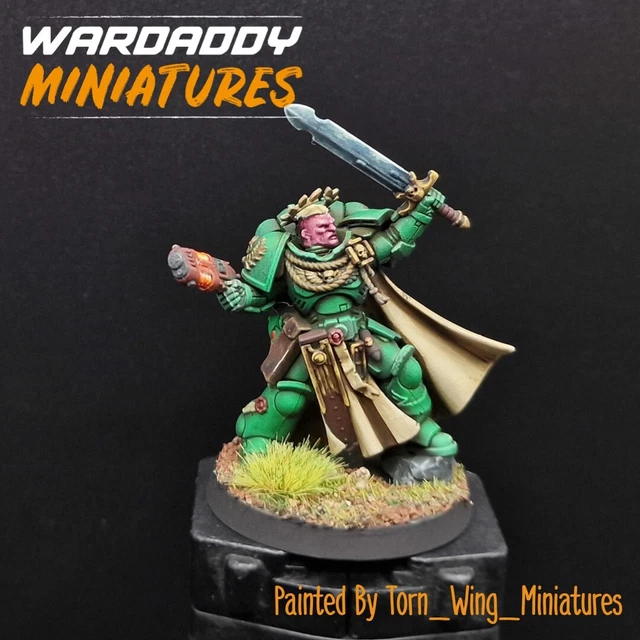 PRO PAINTED WARHAMMER 40k Salamanders Primaris Captain Games Workshop £ ...