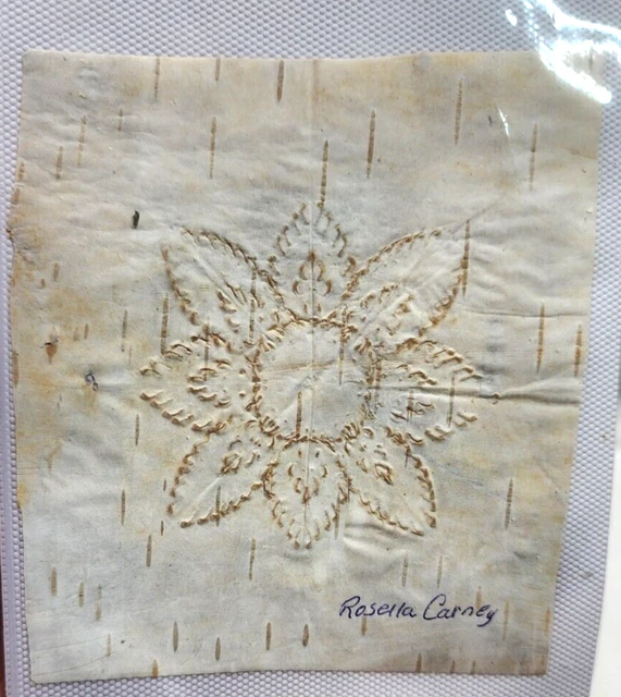 NATIVE AMERICAN ART - Birch Bark Biting - By Indigenous Artist Rosella ...