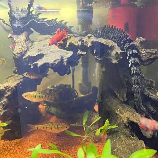 3D PRINTED DRAGON Chinese Long Flexible Aquarium Fish Tank Landscaping ...