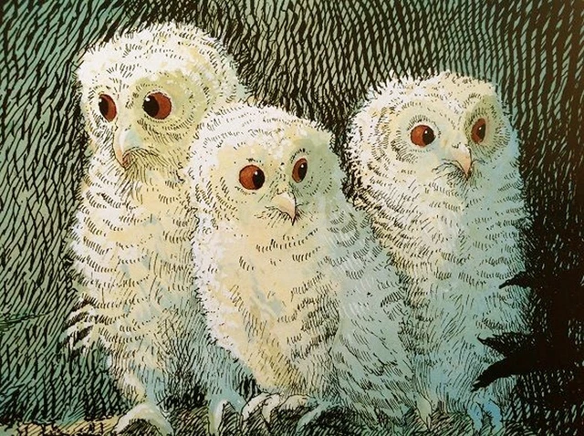 OWL BABIES BY Martin Waddell; Illustrated by Patrick Benson, Children's ...
