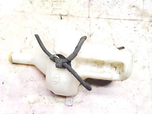 USATO SERBATOIO LAVASTOVIGLIE Originale USATO (BOTTIGLIA Lavatrice) per ...