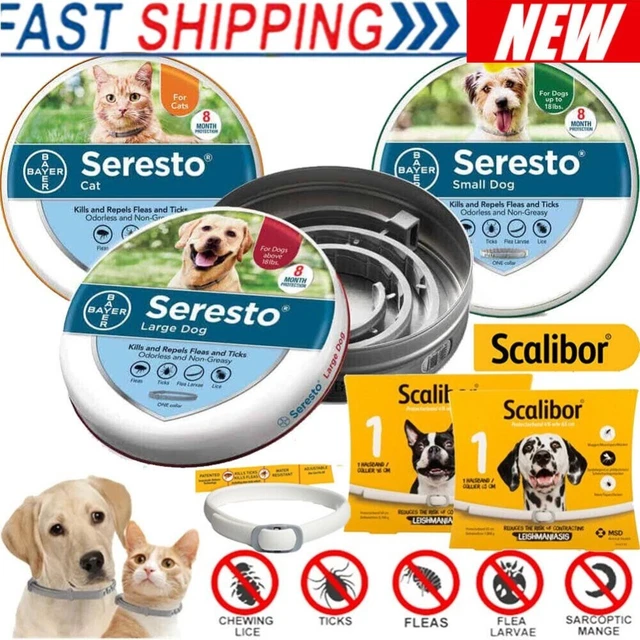 COLLIER ANTI-INSECTES-PUCES ET tiques protection 8 mois pour Chiens ou ...