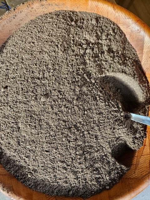 PANDORO POWDER/AFRICAN SAUSAGE Tree/Kigelia Africana/Balam Kheera ...