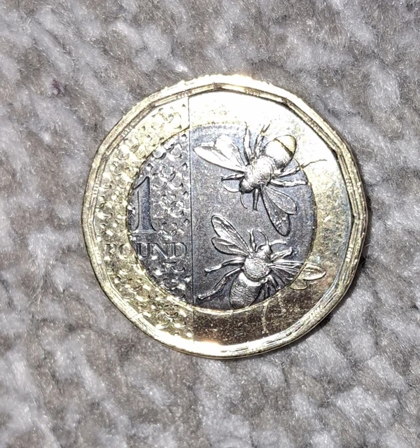 2025 KING CHARLES £1 one Pound Coin King Charles III bees £208.70 ...