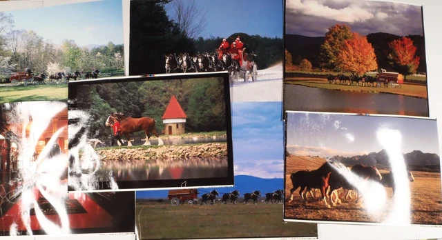 1995 BUDWEISER CLYDESDALES Beer Wagon Photo Chromalin Matchprint Proofs ...
