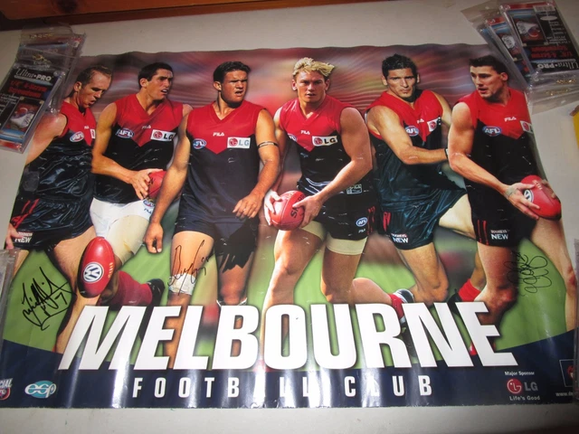 MELBOURNE FC - 2000's poster signed by legends including David Neitz ...