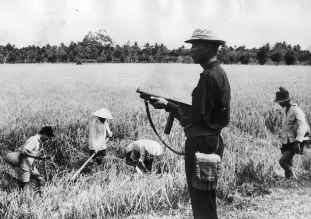 VIETNAMESE HOME-GUARD PROTECTS rice-paddy field workers Mekong - 1962 ...