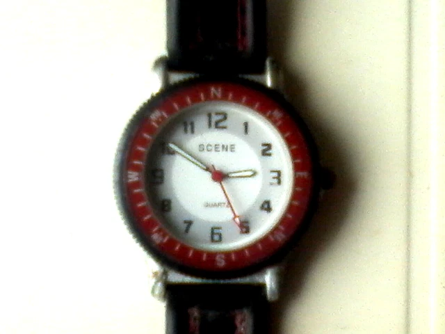 GEBRAUCHTE ARMBANDUHR FÜR Herren oder Knaben von Scene Quartz mit einen ...
