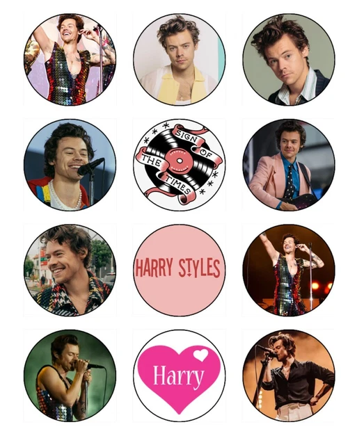 HARRY STYLES CAKE Topper Edible Birthday Cupcake Decorations EUR 7,96 ...