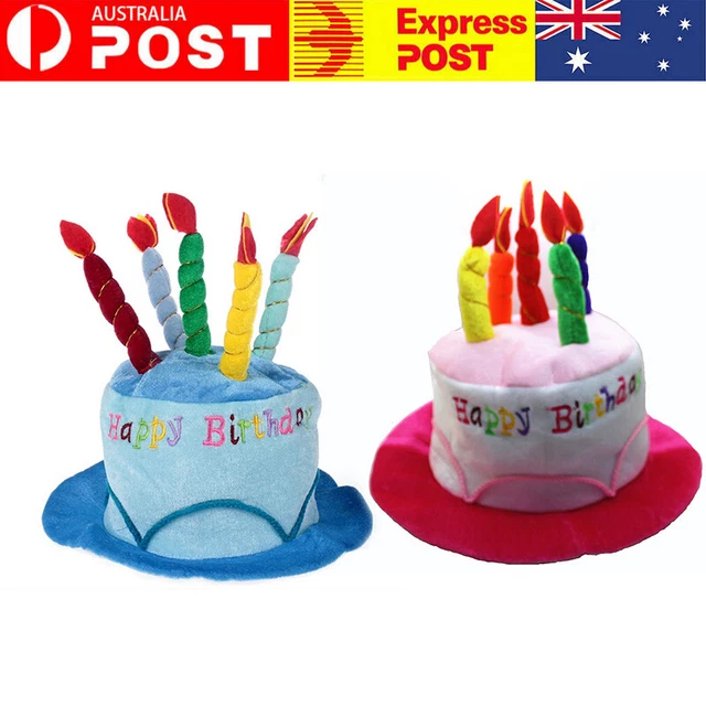 HAPPY BIRTHDAY PLUSH Cake Hat with Candles Fancy Dress Party Hats ...