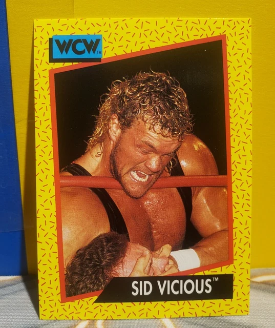 1991-92 WCW WORLD Championship Wrestling Trading Cards - Sid Vicious ...