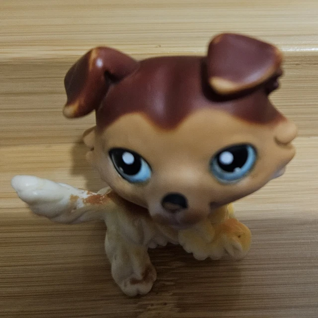 LITTLEST PET SHOP LPS Sage Collie #58 Authentic Lps Puppy Dog Rare Htf ...
