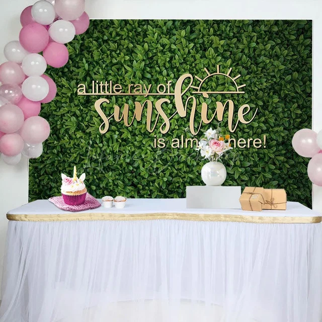 SPRING LITTLE RAY Of Sunshine Baby Shower Backdrop $36.09 - PicClick AU