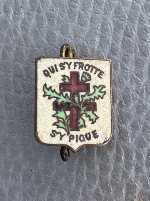 INSIGNE MILITAIRE QUI S’y Frotte S’y Pique EUR 8,01 - PicClick FR