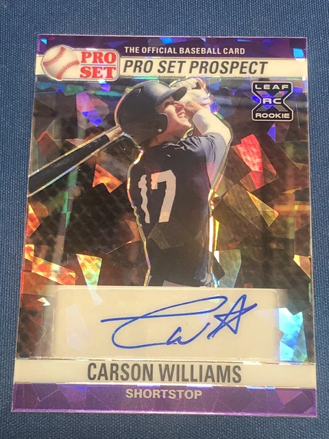 2021 ENSEMBLE LEAF Pro Métal Carson Williams Glace Craquée Violette /15 ...