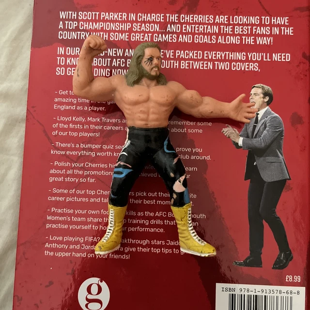 VINTAGE WCW GALOOB Freebirds Wrestling Figure Michael Hayes WWF WWE EUR ...