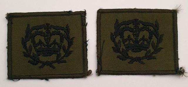 BRITISH ROYAL MARINES CQMS QMSI Green Patches Badge £10.00 - PicClick UK