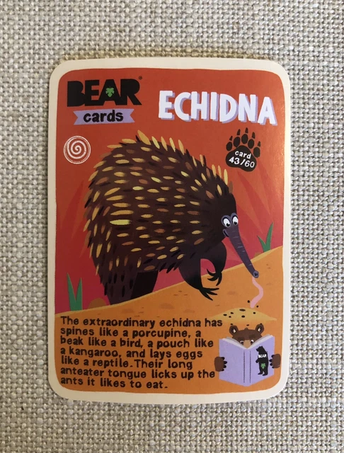 Yoyo Bear Cards Rare FOR SALE! - PicClick UK
