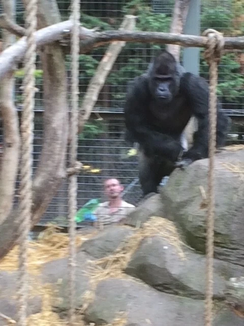 CHESSINGTON T I C K E T S - SUNDAY 22 OCTOBER ** IN UR OWN NAME ...