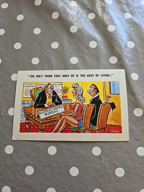 VINTAGE SAUCY SEASIDE Comic Postcard Sunny Pedro Series No 178 By Pedro ...