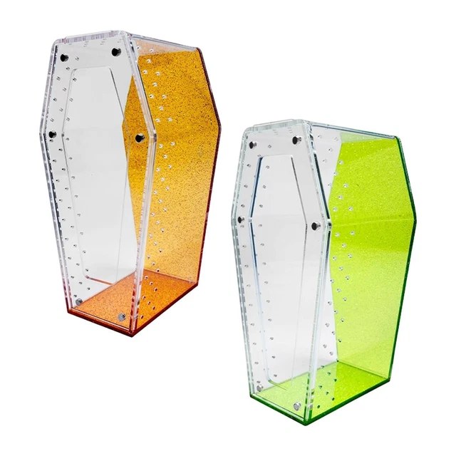 JUMPING SPIDER ENCLOSURE Tarantula Cage Amphibian Habitat Vivarium ...