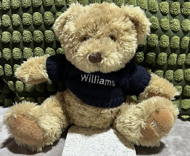 KEEL TOYS 8” Official Williams BMW Motor Car Soft Toy Plush Teddy Bear ...