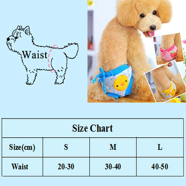 PANTALON PHYSIOLOGIQUE POUR Chien Femelle Mignon Couche-Culotte ...