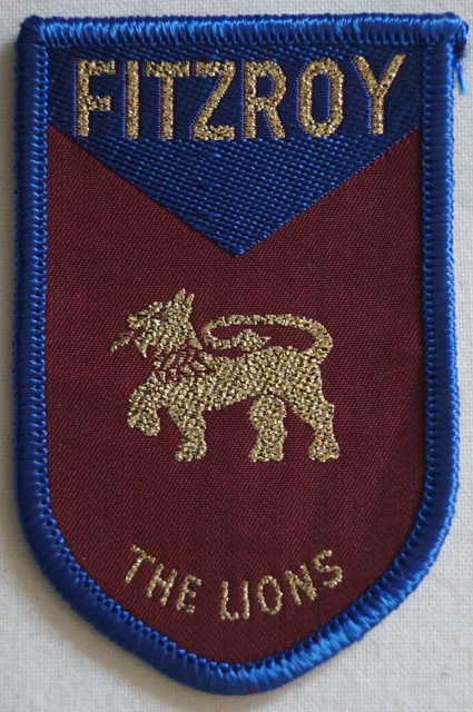 FITZROY LIONS AFL VFL Football Vintage 1960's The Lions Team Cloth ...