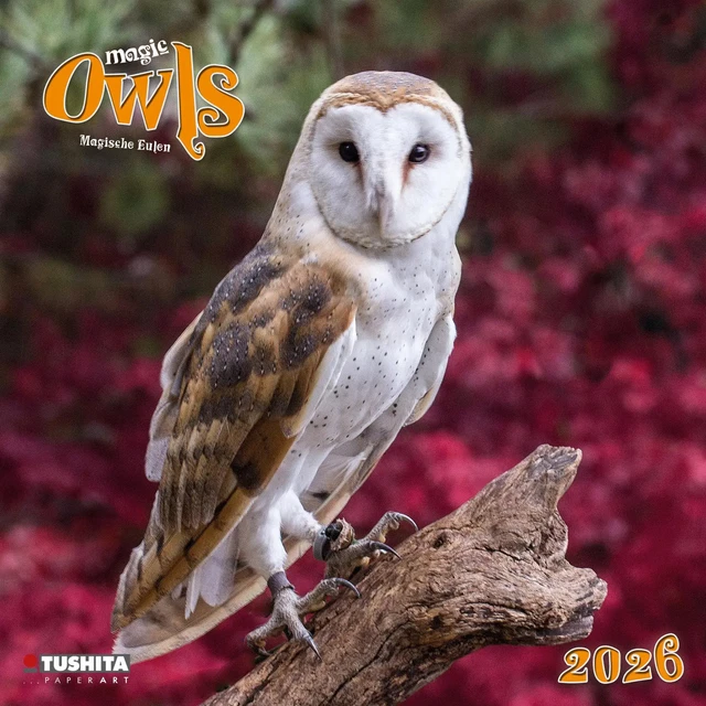 MAGIC OWLS 2026 | Kalender 2026 | Kalender | Wonderful World | 28 S ...
