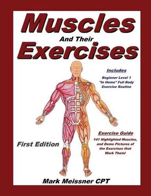 MUSCLES AND THEIR Exercises by Mark Meissner (English) Paperback Book ...
